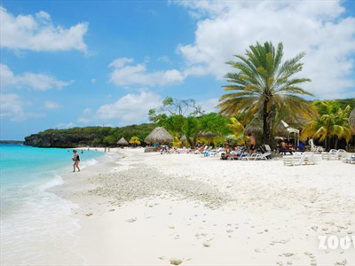 Hoogtepunten: de 5 mooiste stranden van Curacao | PlusOnline