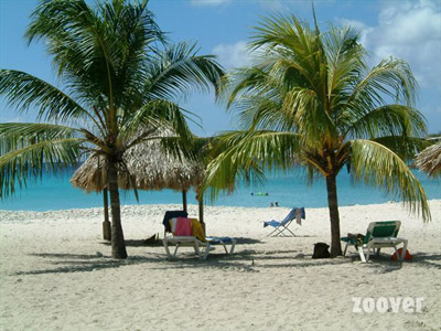 Hoogtepunten: de 5 mooiste stranden van Curacao | PlusOnline