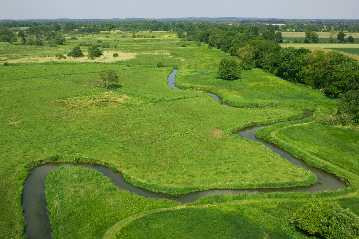 De negen mooiste natuurgebieden in Nederland | PlusOnline