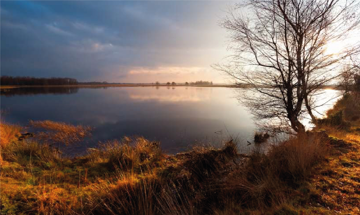 De mooiste fietsroutes over de heide | PlusOnline
