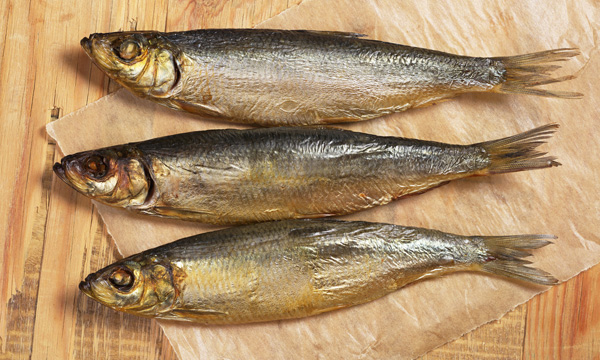 Alles over de haring | PlusOnline