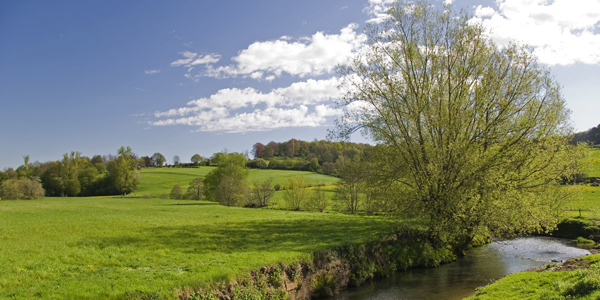 9 magische plekken in de Nederlandse natuur | PlusOnline