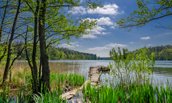 Natuur en cultuur aan de Baltische Zee | PlusOnline