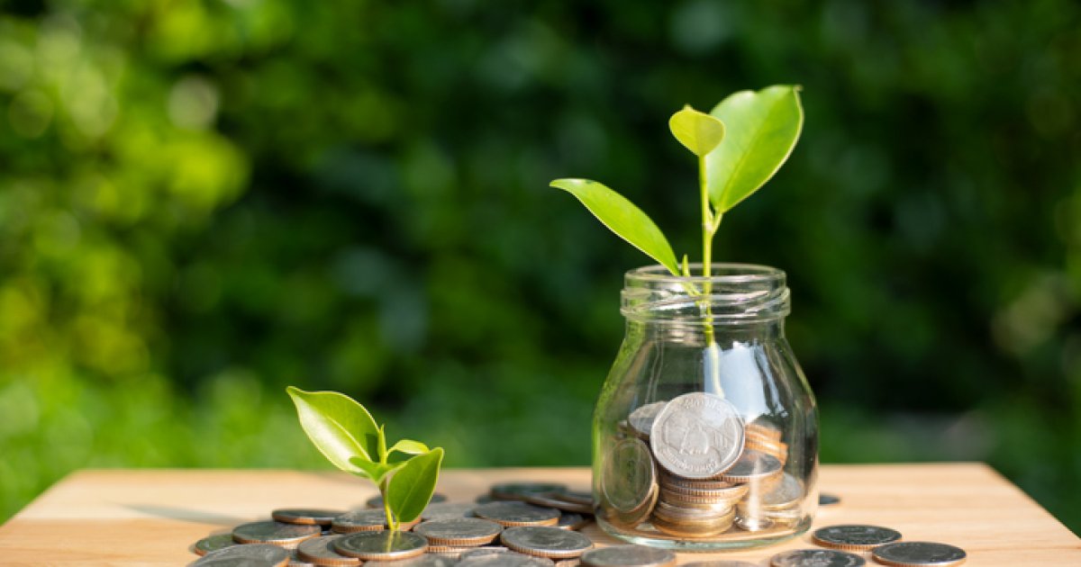 Telt groen sparen mee voor de zorgtoeslag? | PlusOnline