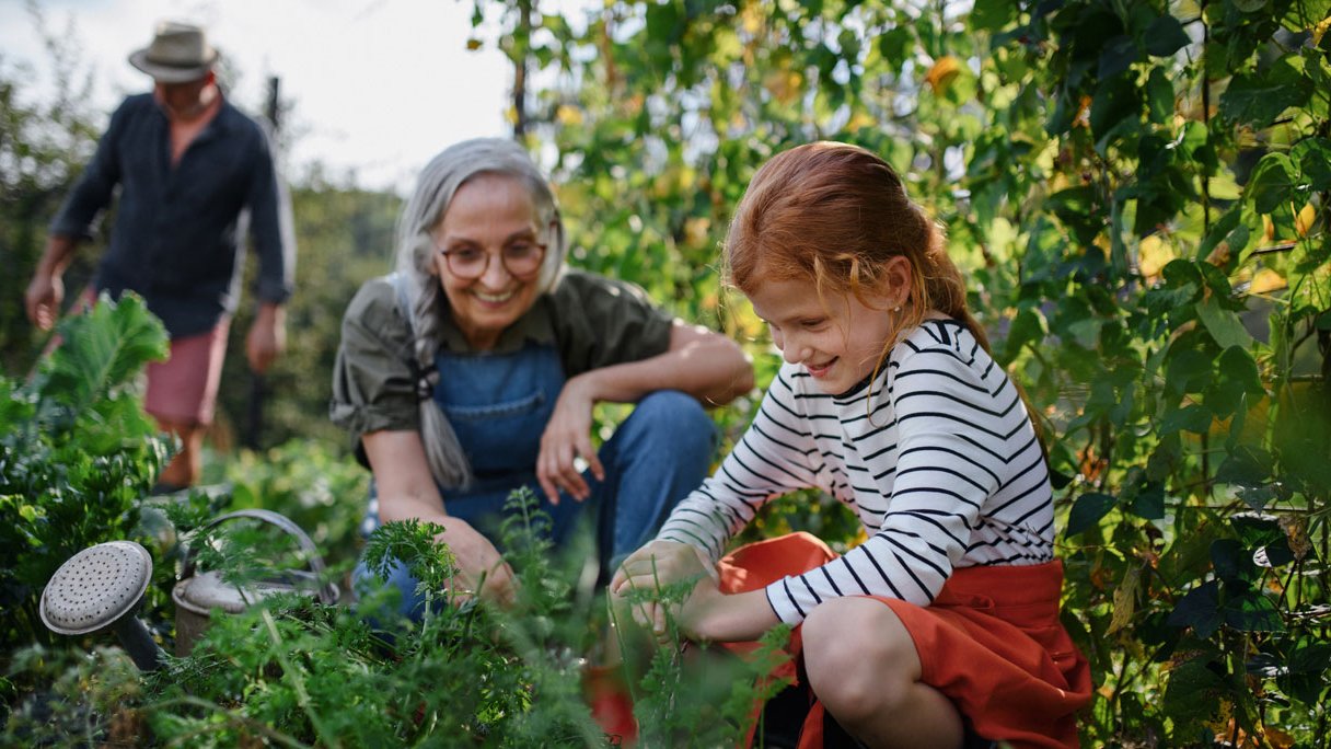Legaat en rente voor het kleinkind | PlusOnline
