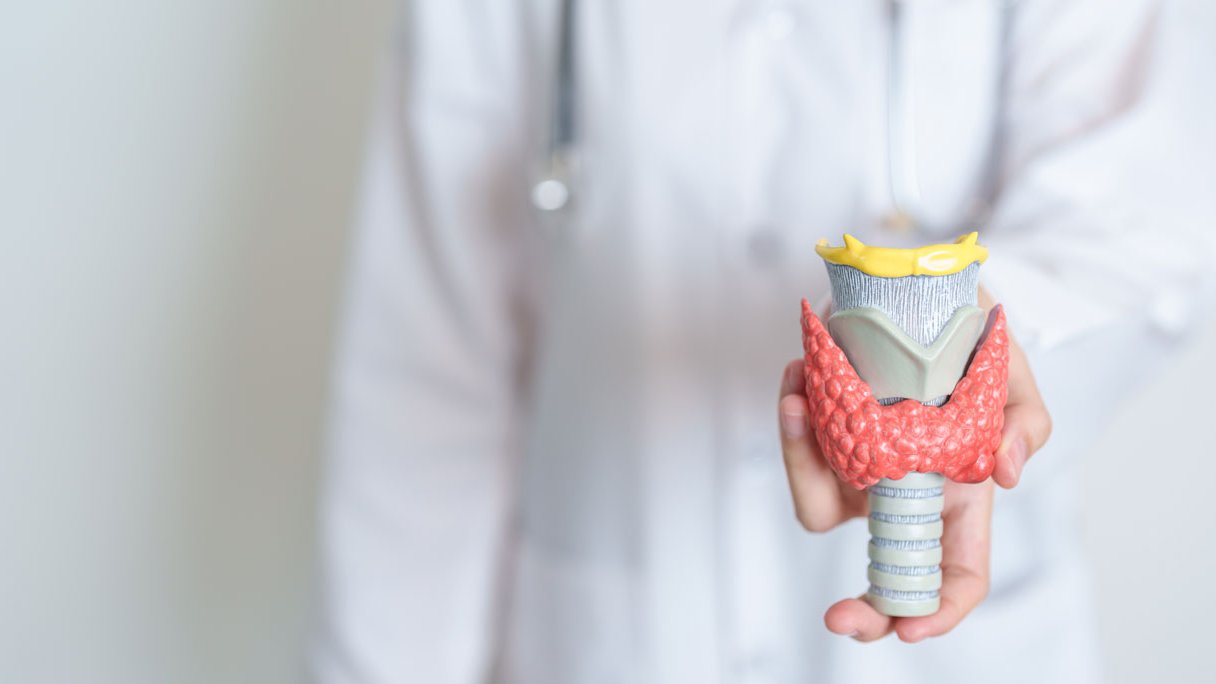 Wat is de ziekte van Hashimoto? | PlusOnline