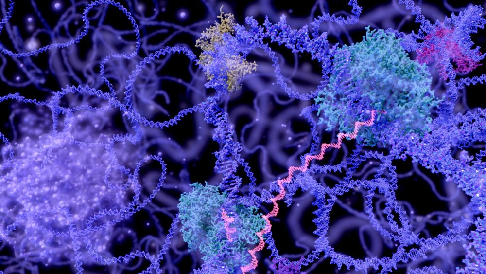 Enzymen | PlusOnline