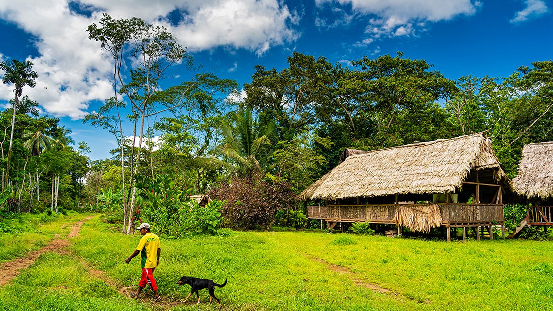 Costa Rica: puur natuur | PlusOnline