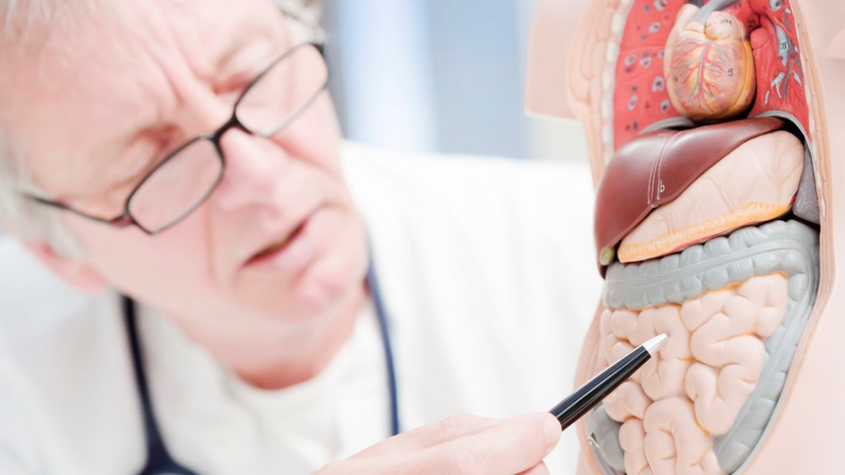 Prikkelbare darm syndroom (PDS) | PlusOnline