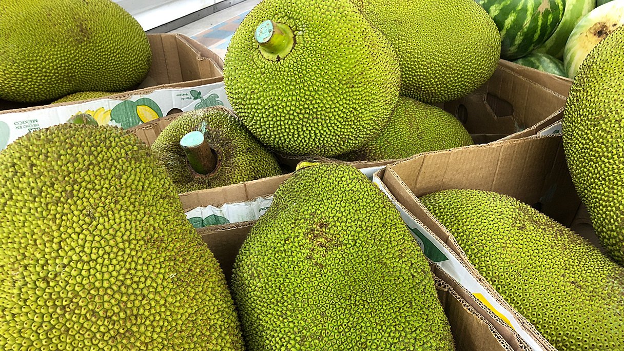 Jackfruit, wat is dat eigenlijk? | PlusOnline