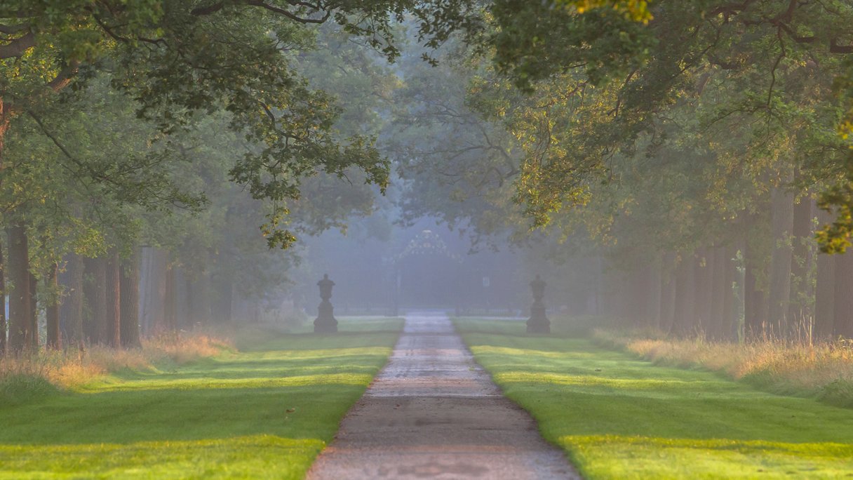 De mooiste routes met de fiets en de auto door Twente | PlusOnline