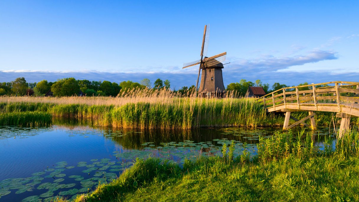 10 tips voor een dagje uit in Nederland | PlusOnline