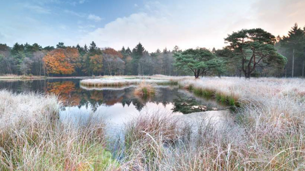 5 fraaie fietsroutes door de Nederlandse natuur | PlusOnline
