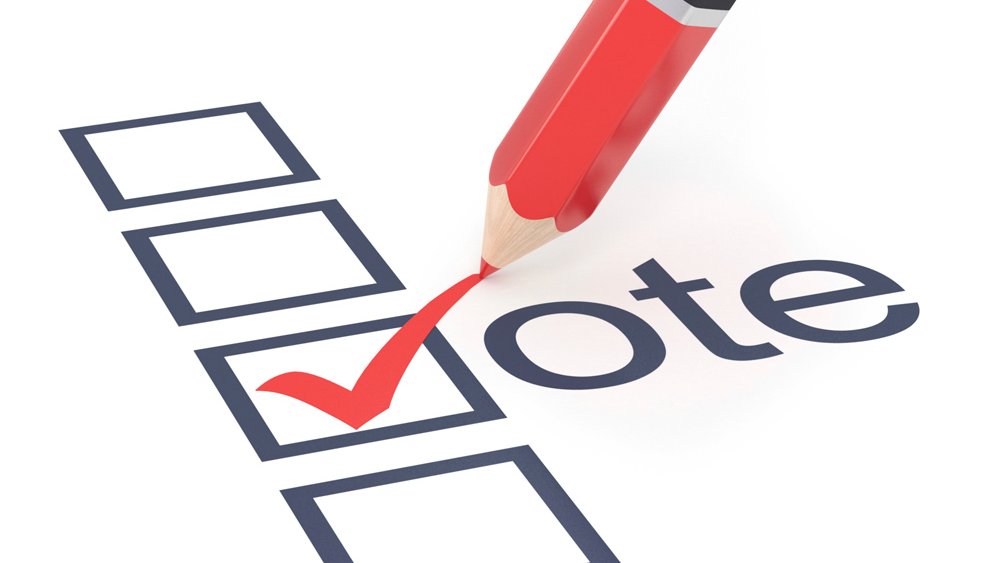 Stelling: Ik ga stemmen voor de gemeenteraad op 19 maart | PlusOnline