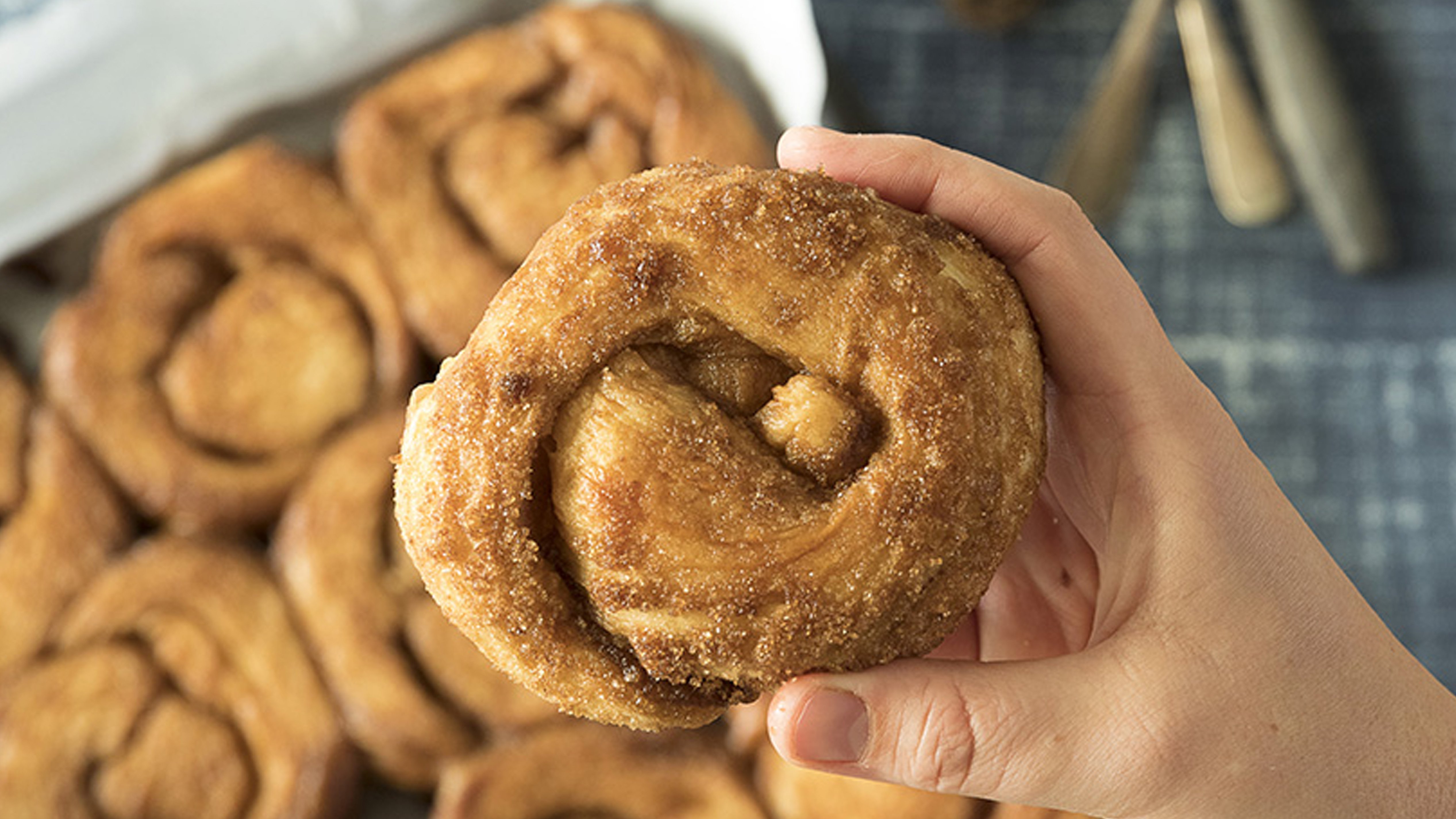 Recept: Zeeuwse bolus | PlusOnline